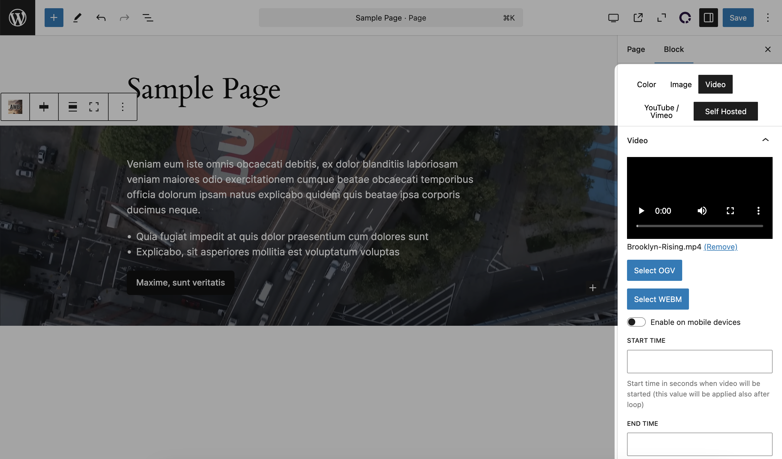 Video - Advanced WordPress Backgrounds